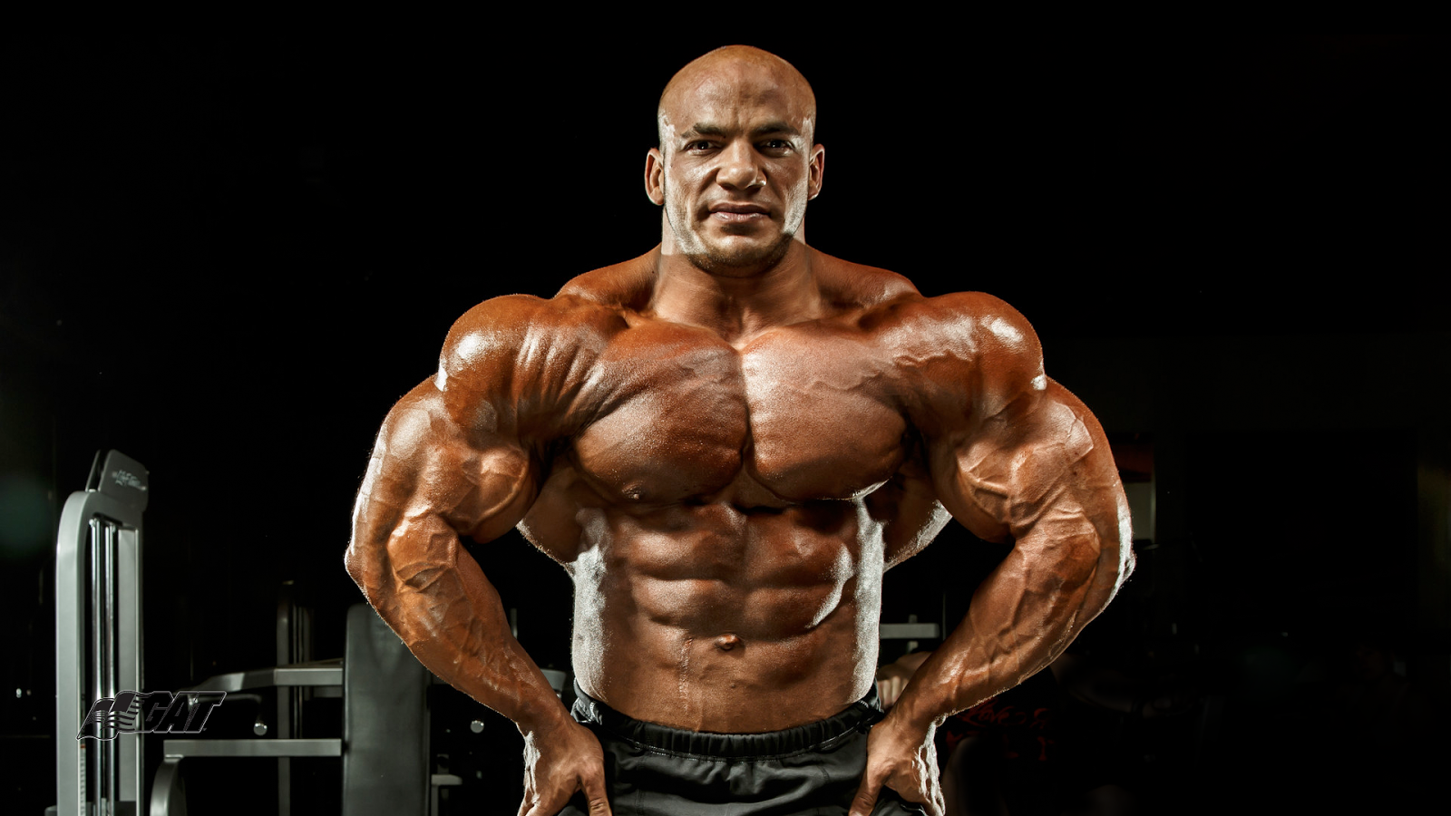 Muscle Wallpapers: Big Ramy Most Muscular Wallpaper