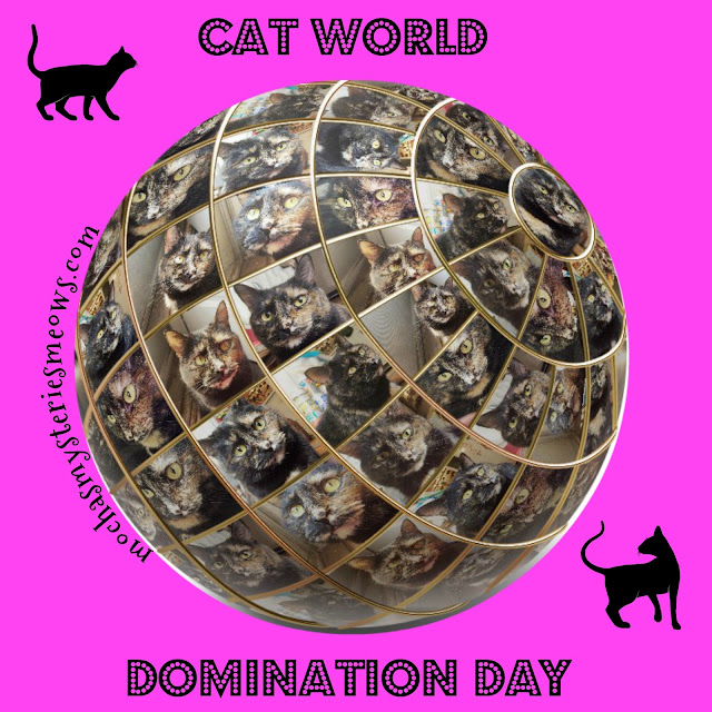 Melissa's Mochas, Mysteries and Meows: Cat World Domination Day # ...