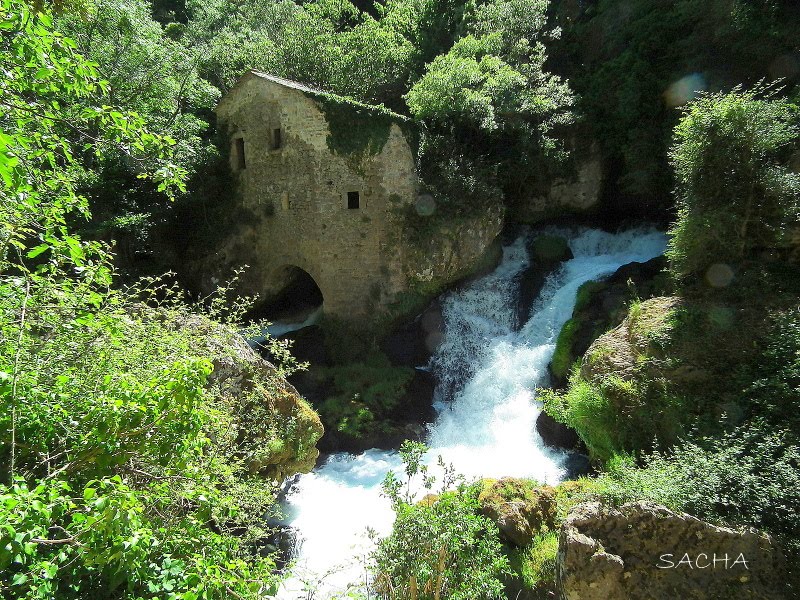 Un jour....Une photo !: Cheminer ensemble vers les sommets .....Mt Lozère