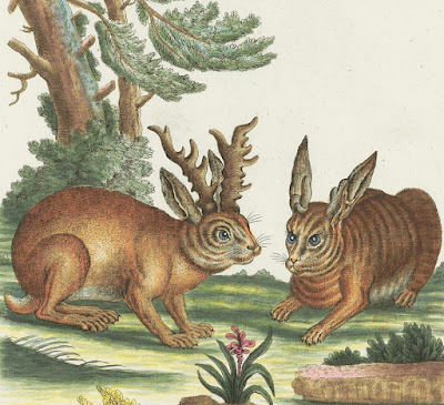 Content in a Cottage: Two Hares Antique Print 1752