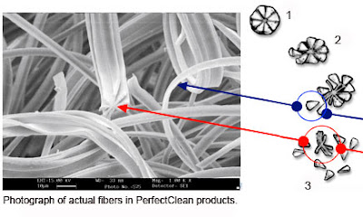 SHAIL SINGH: FIBRES
