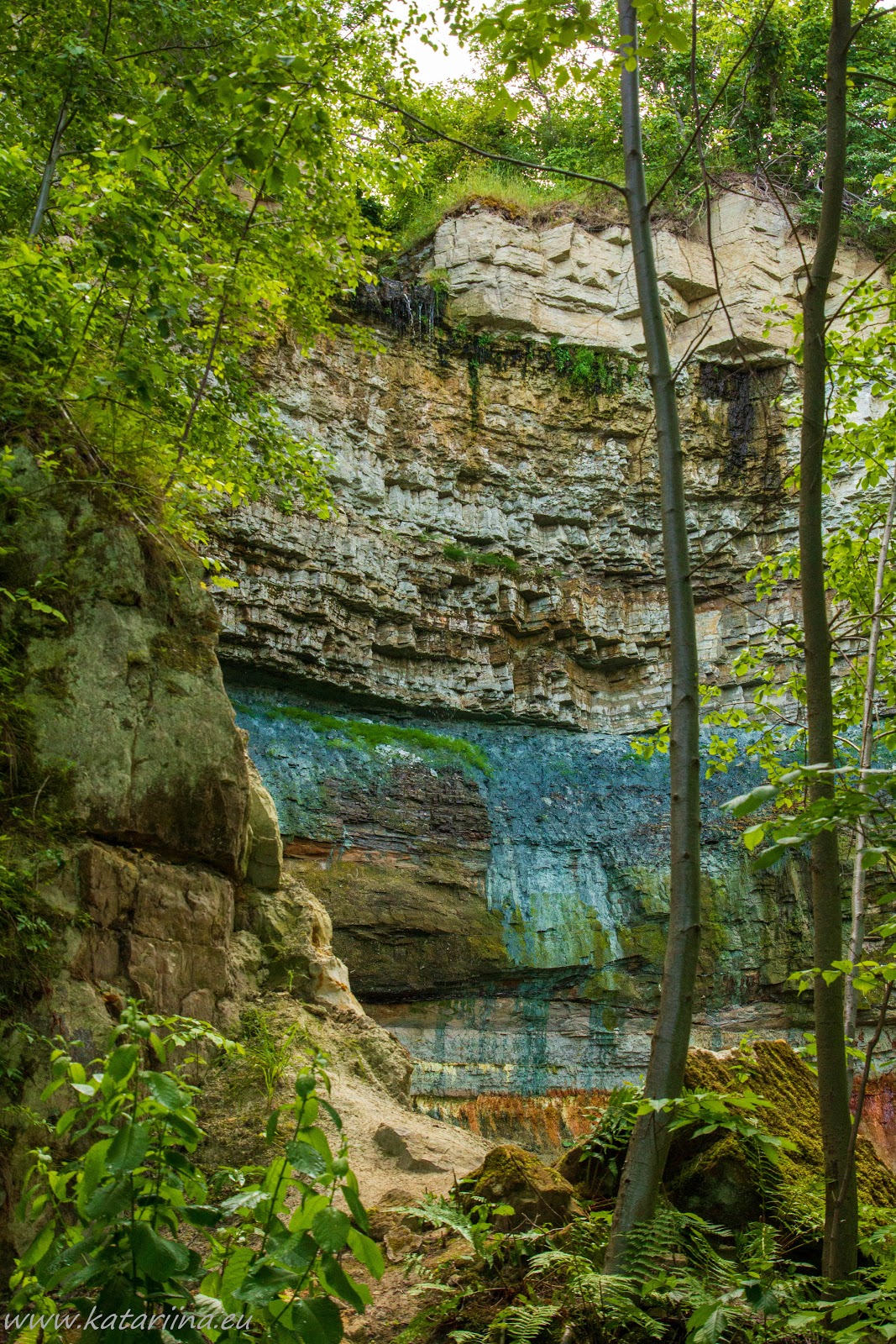 Katariina kudugurmee: Ontika pankrannik.