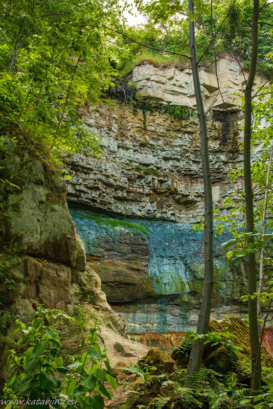 Katariina kudugurmee: Ontika pankrannik.