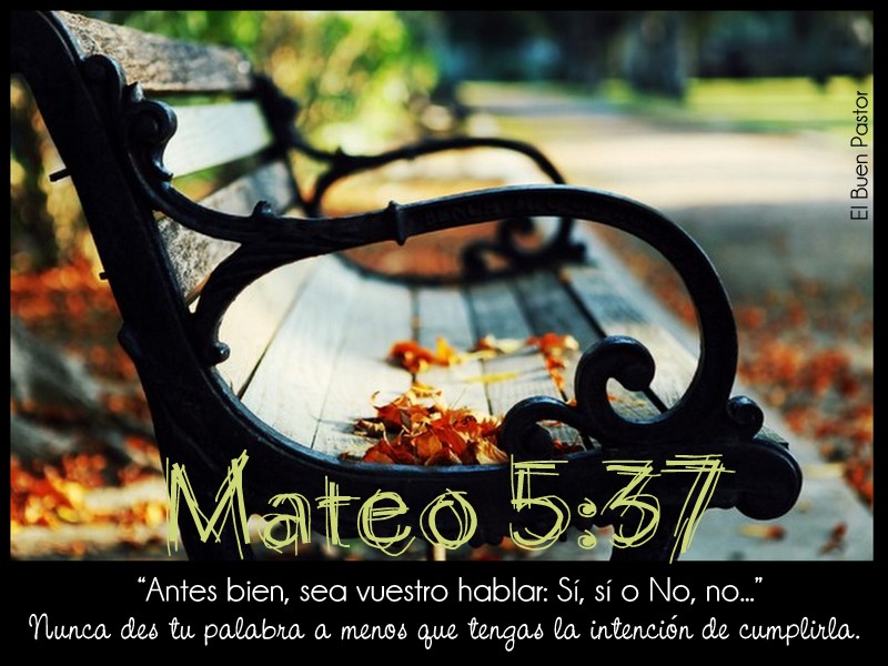 YO SOY EL BUEN PASTOR: Mateo 5:37