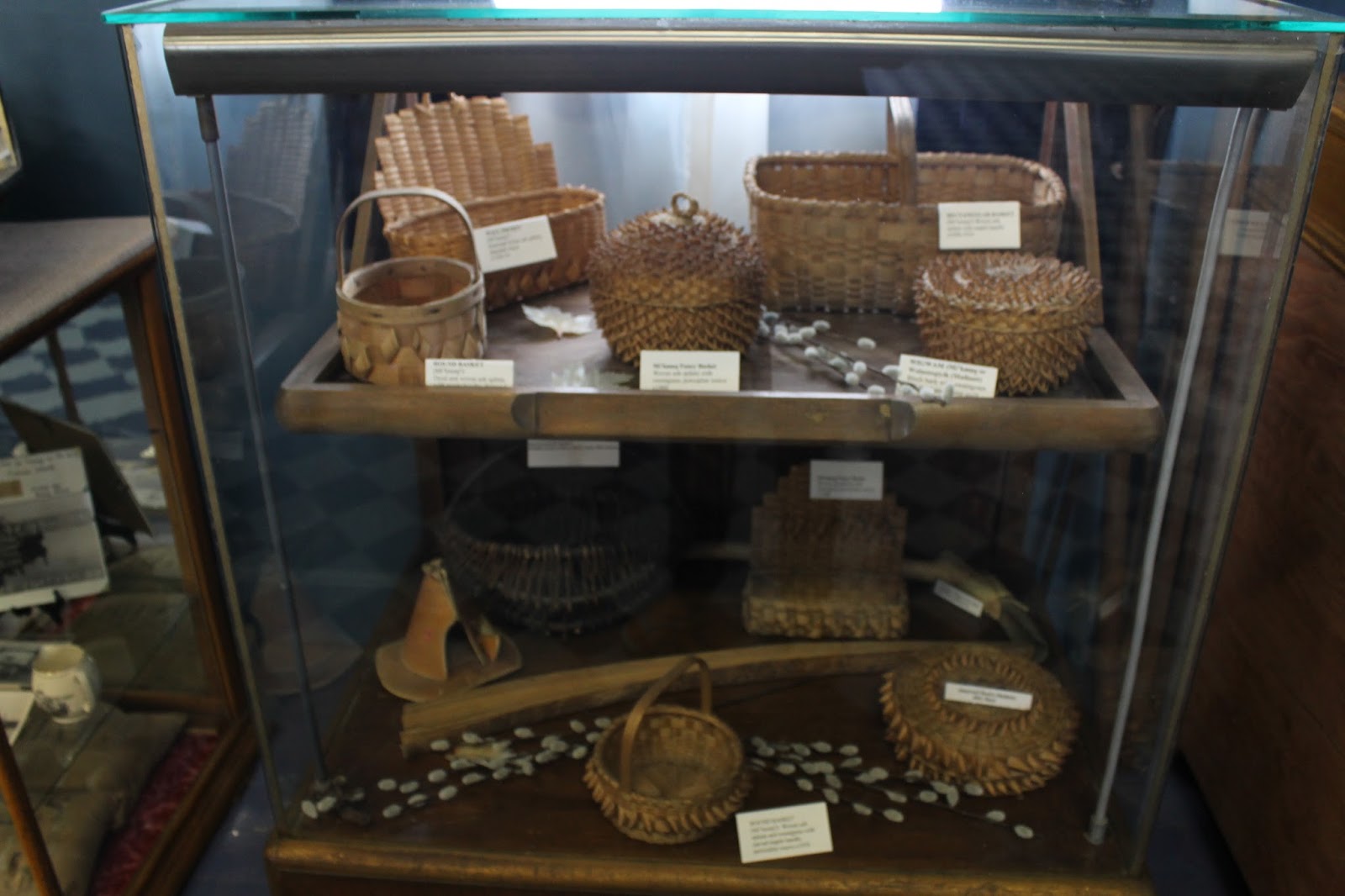 Explore Miramichi With Me: Things to Do: Miramichi Natural History Museum