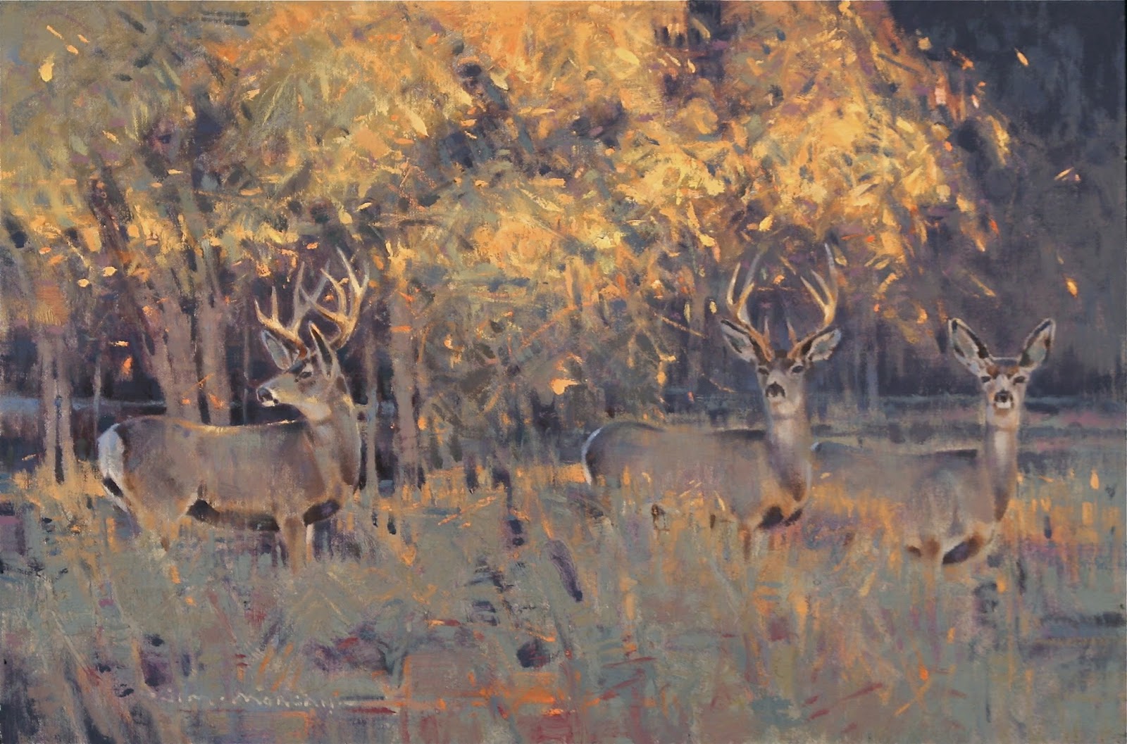 Jim Morgan Art: Current Works