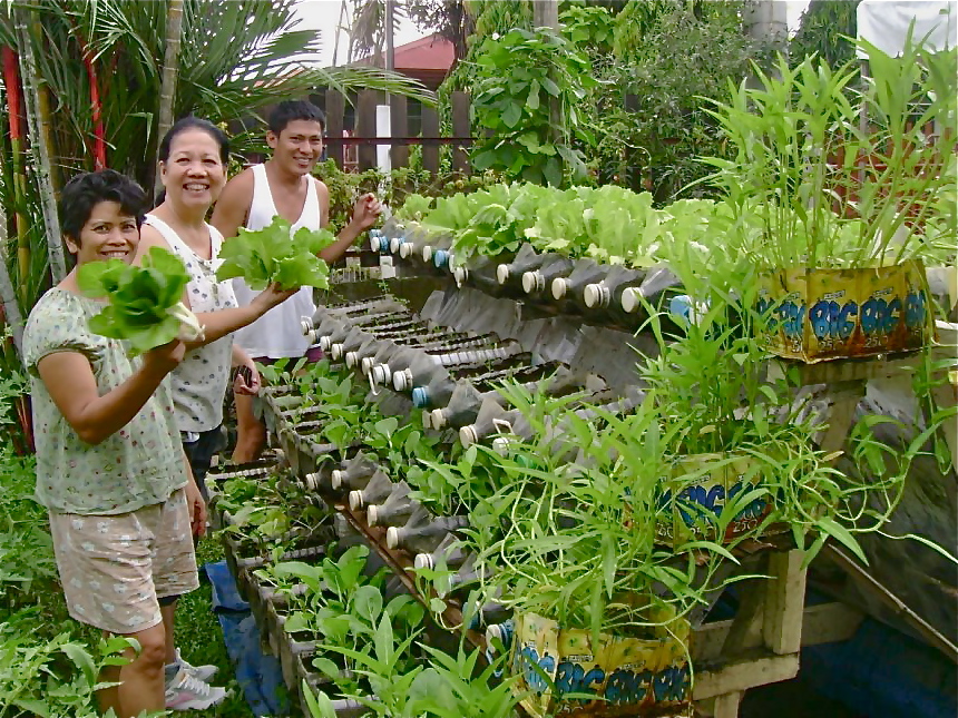 BISAYAPHILIPPINES: Plant your own vegetables