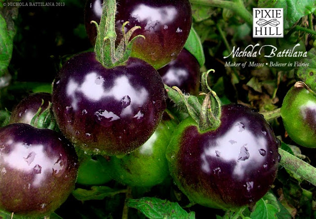 Pixie Hill: August 2013