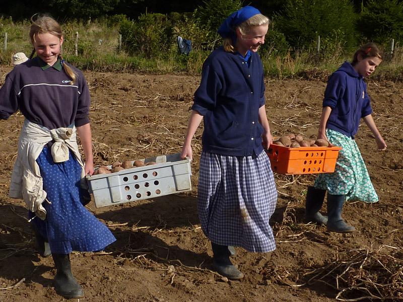 anna maria: Danthonia Christian Commune, Inverell