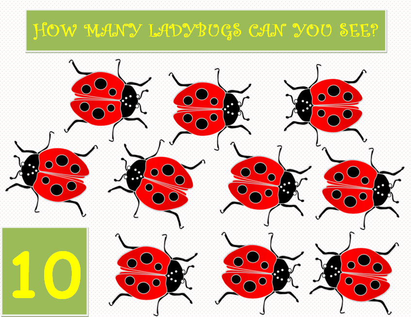 A Place For Kindergarteners: Learn to count ladybugs