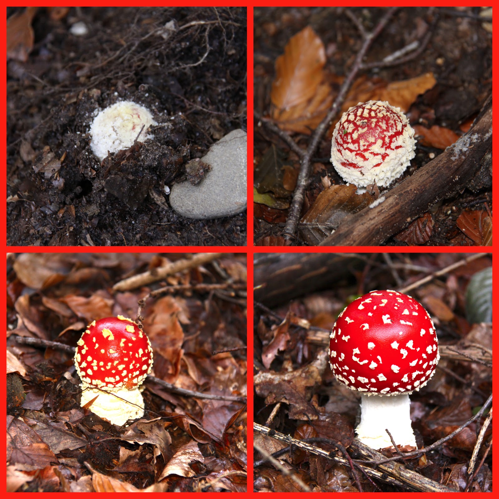 Moet het ergens over gaan?