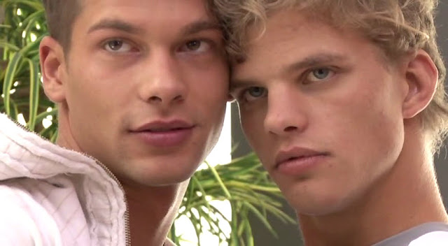 D.N.A: 1.255. Evan Cobb ¿qué te pudo llevar al suicidio?