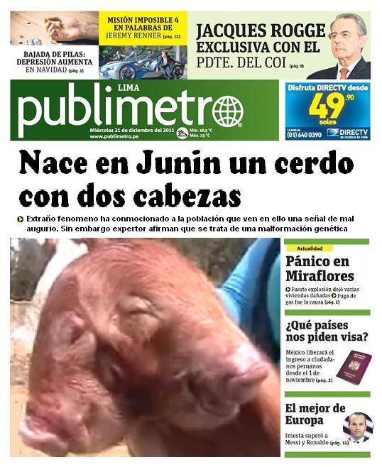 EL LADO OSCURO: MENUDO GORRINO: Nace en el Perú un cerdo con dos cabezas