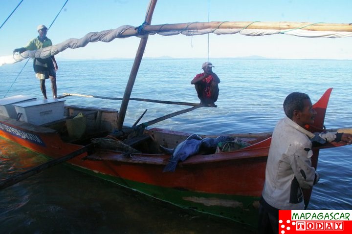 Madagascar Today: Hello Madagascar