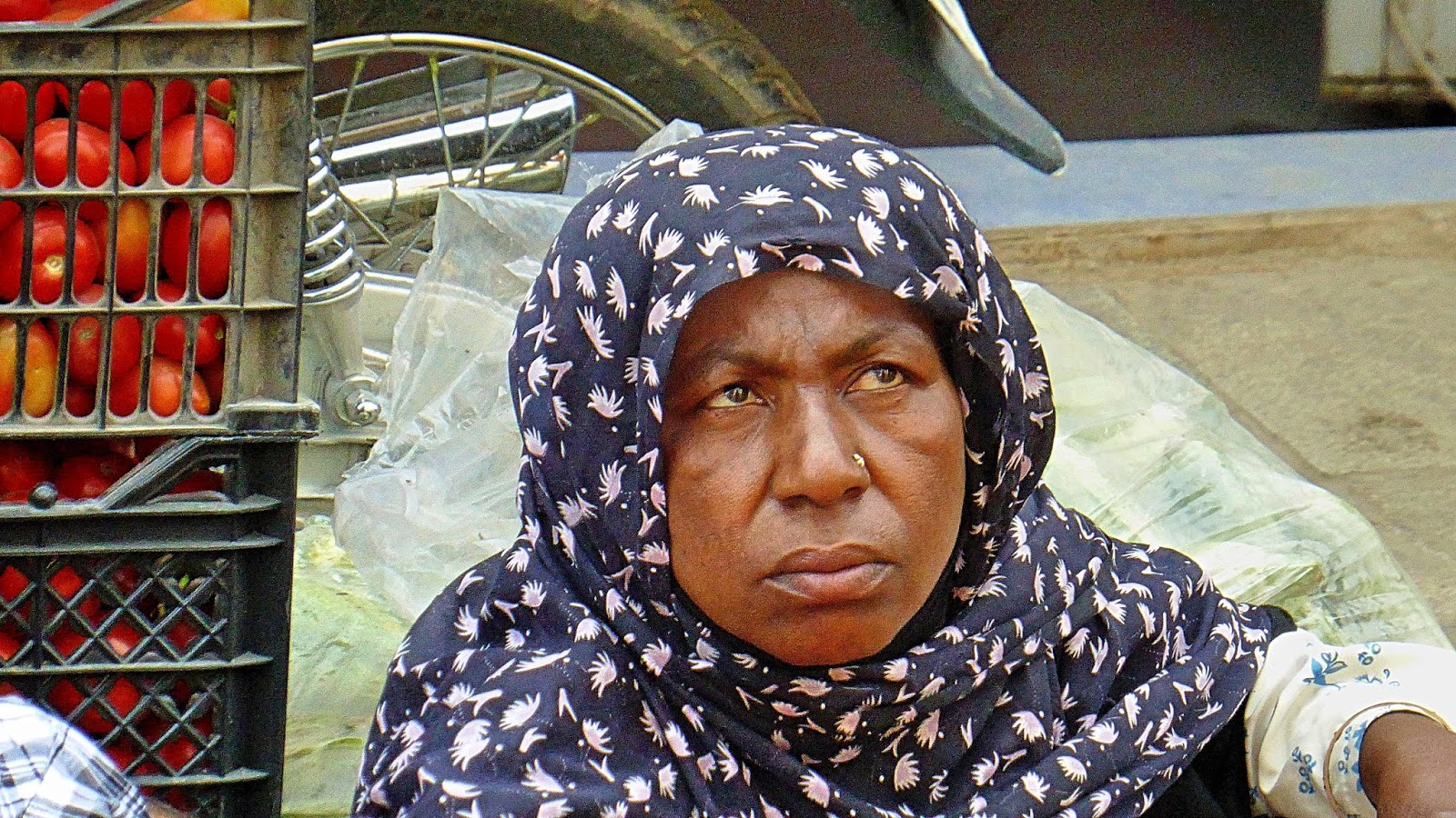 Slow Train Coming: A BANDARI BEGINNING- Bandar Abbas, Iran