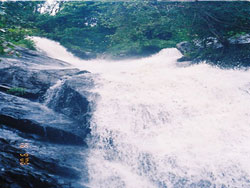 VACATION TO UDUMALPET: Places to visit in Udumalpet & Surroundings