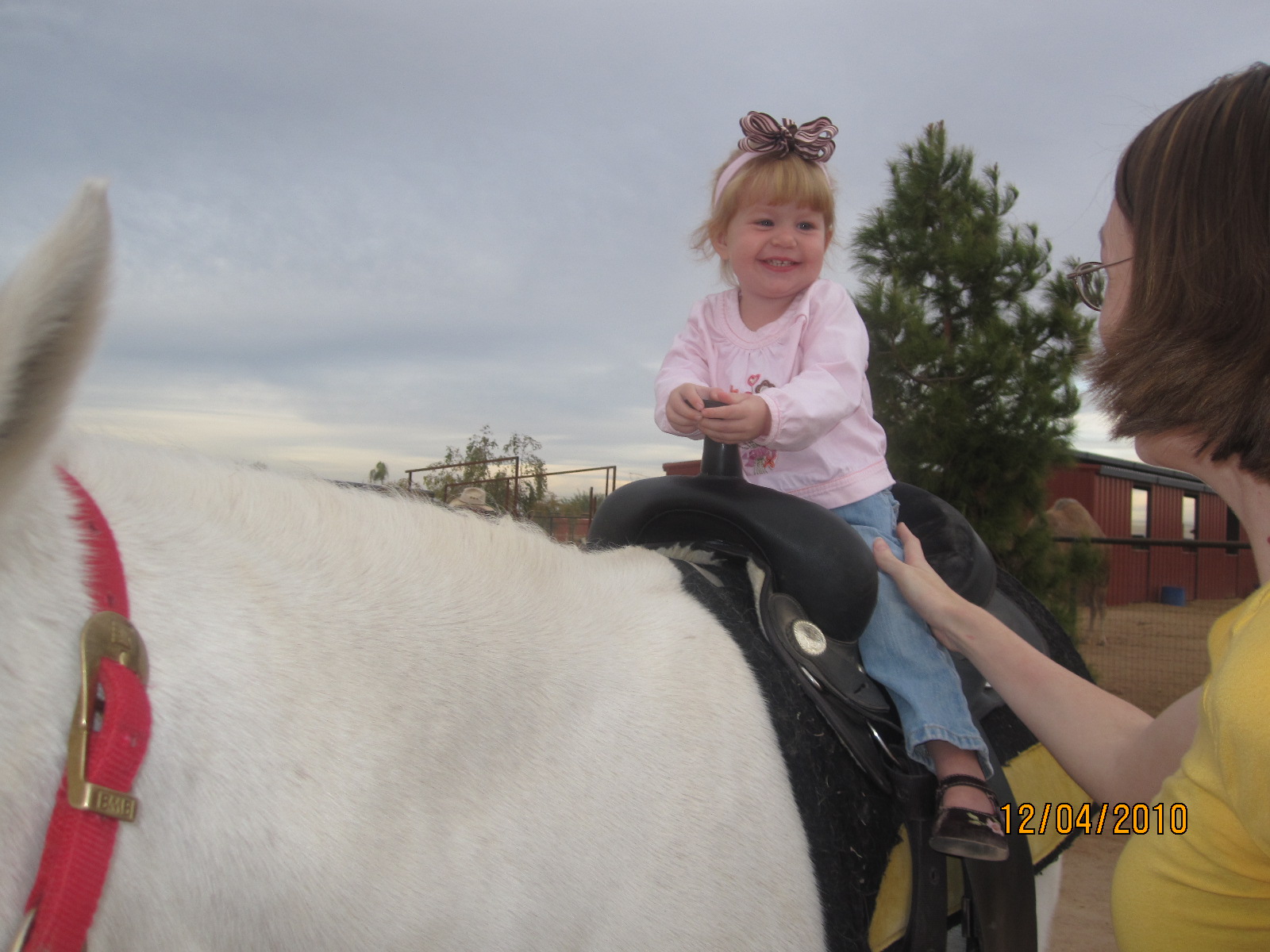 Owens Family: Marley Farms