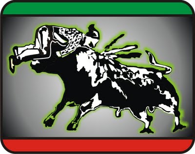 FOTOGRAFIAS TAURINAS HM: FORCADOS