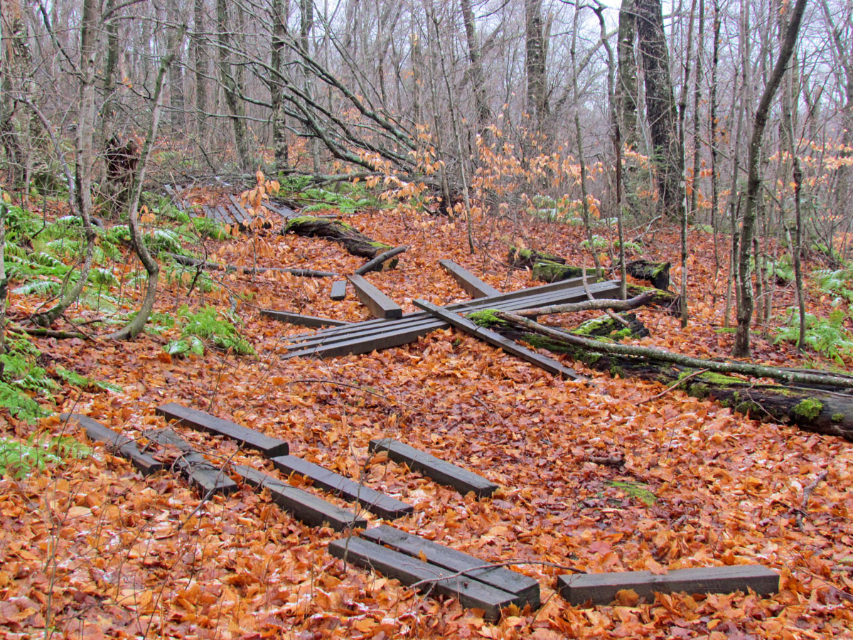 The Agatelady: Adventures and Events: Log Slide to Au Sable Point Hike ...