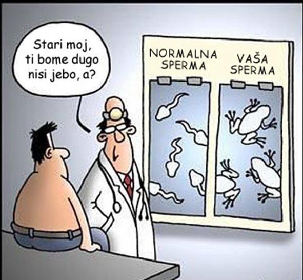 Party Brigade 42: Smešne slike #250