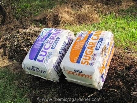 Eudlo Seed Savers Group