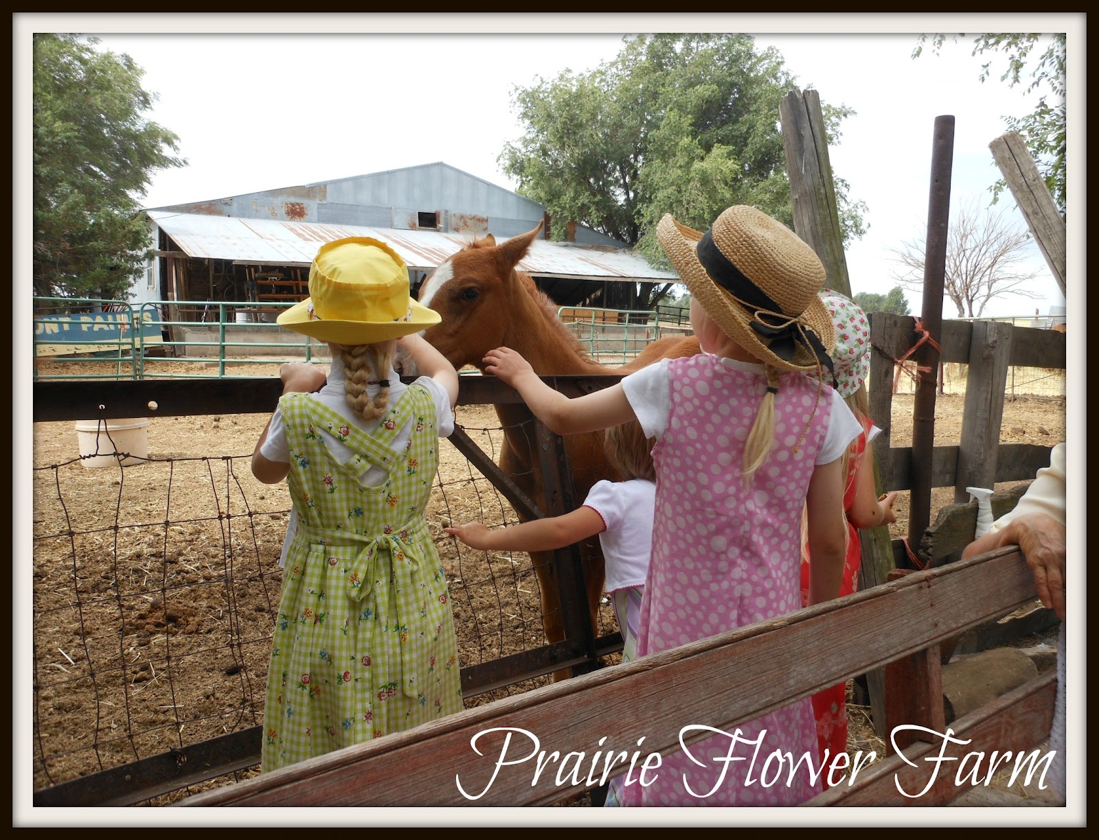 Prairie Flower Farm: A Tea Party...........precious time!