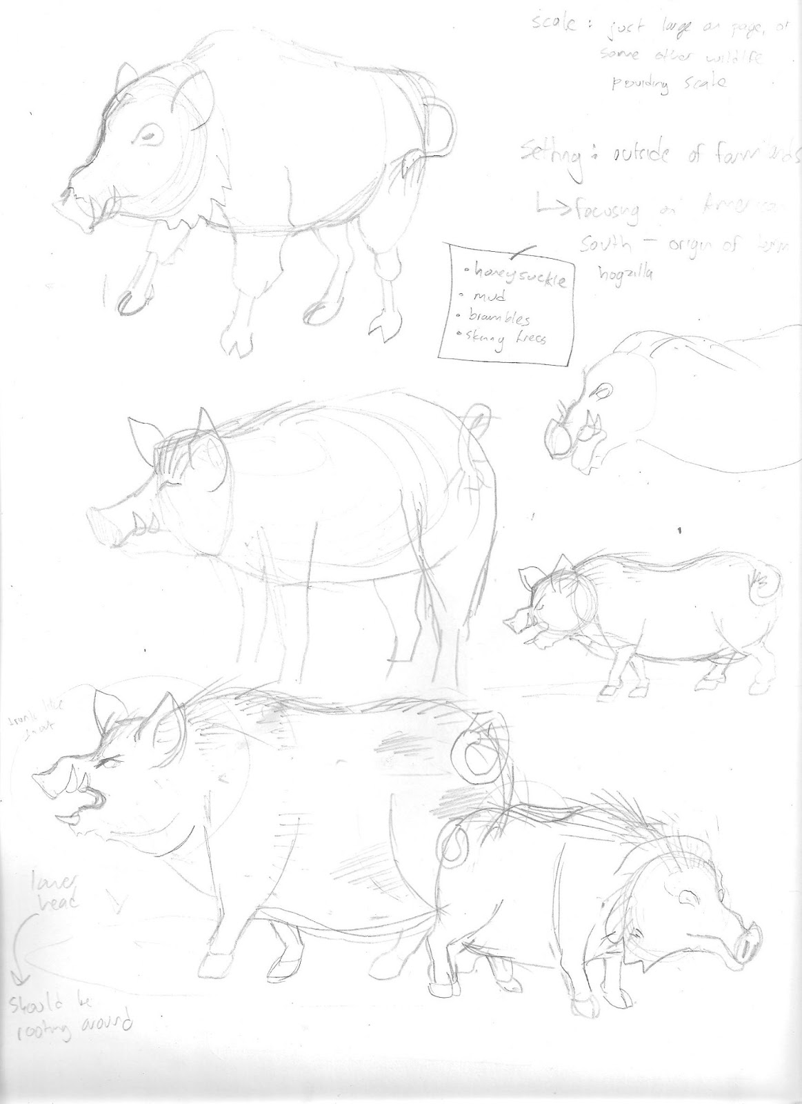 Jake LaGory- illustrator