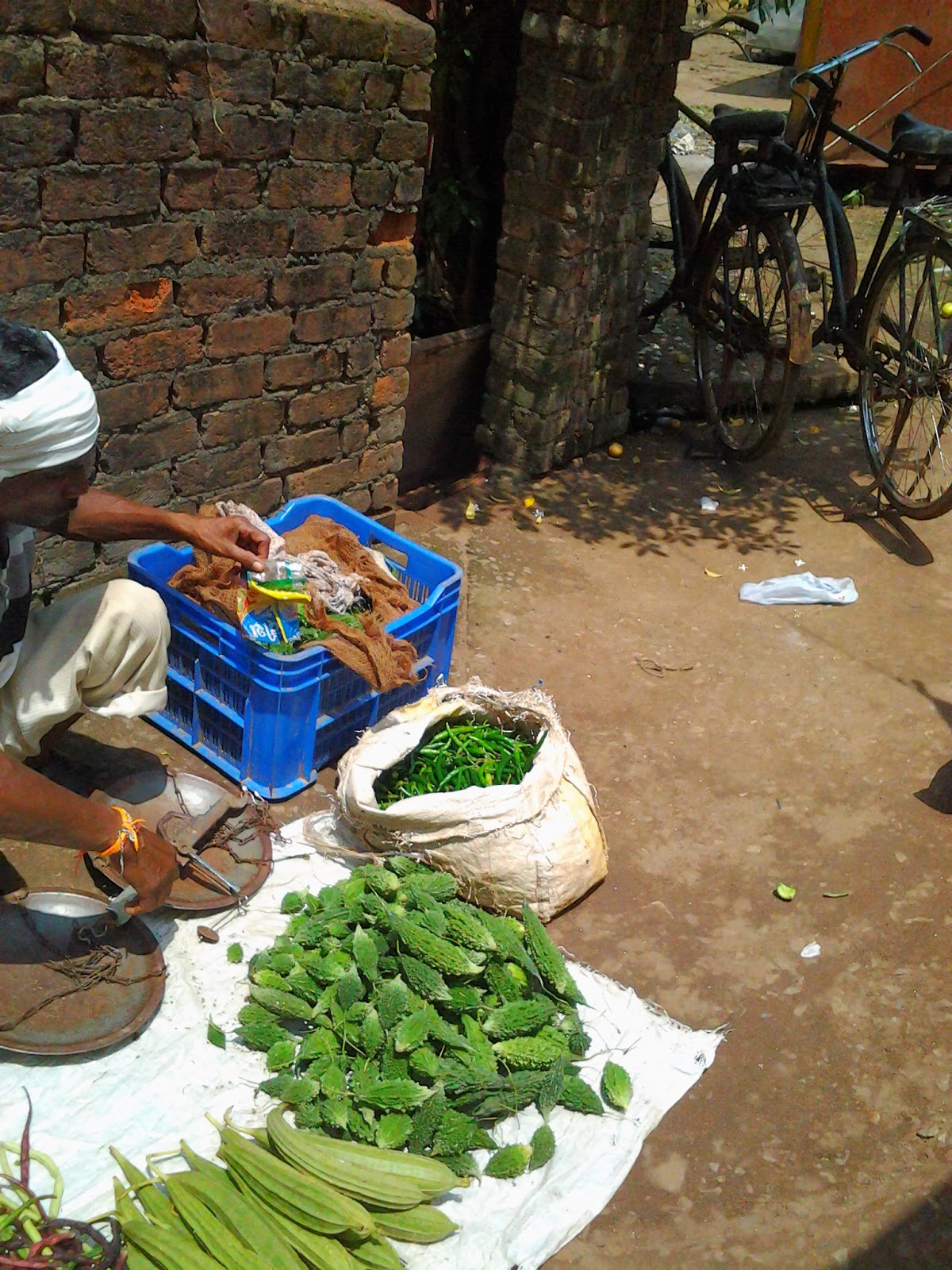 Planet Food India: Vegetables and fruits market at Gadchiroli, Maharashtra
