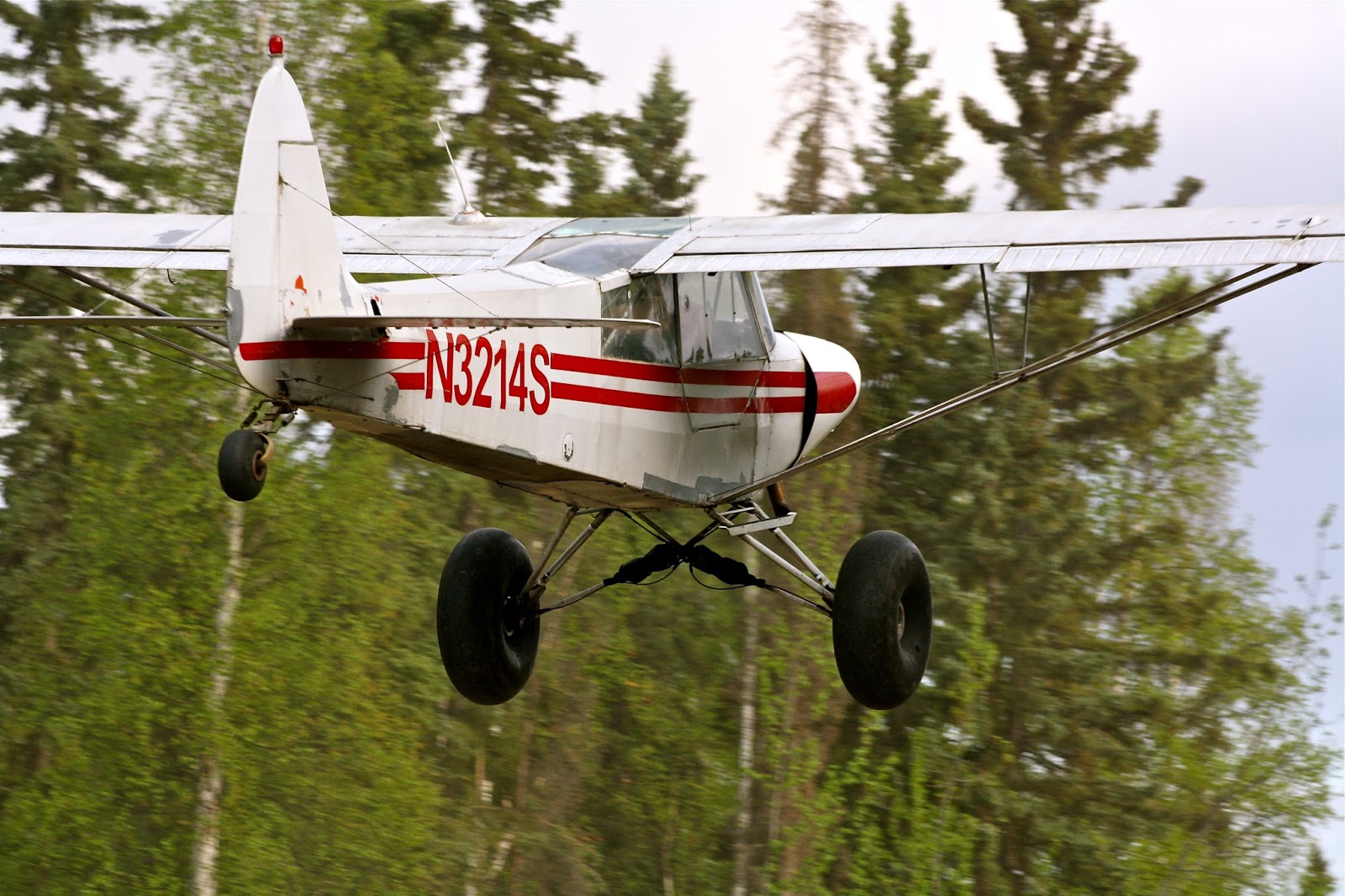AVIACIÓN PARA TODOS: Bush flying (Vuelo de arbustos)