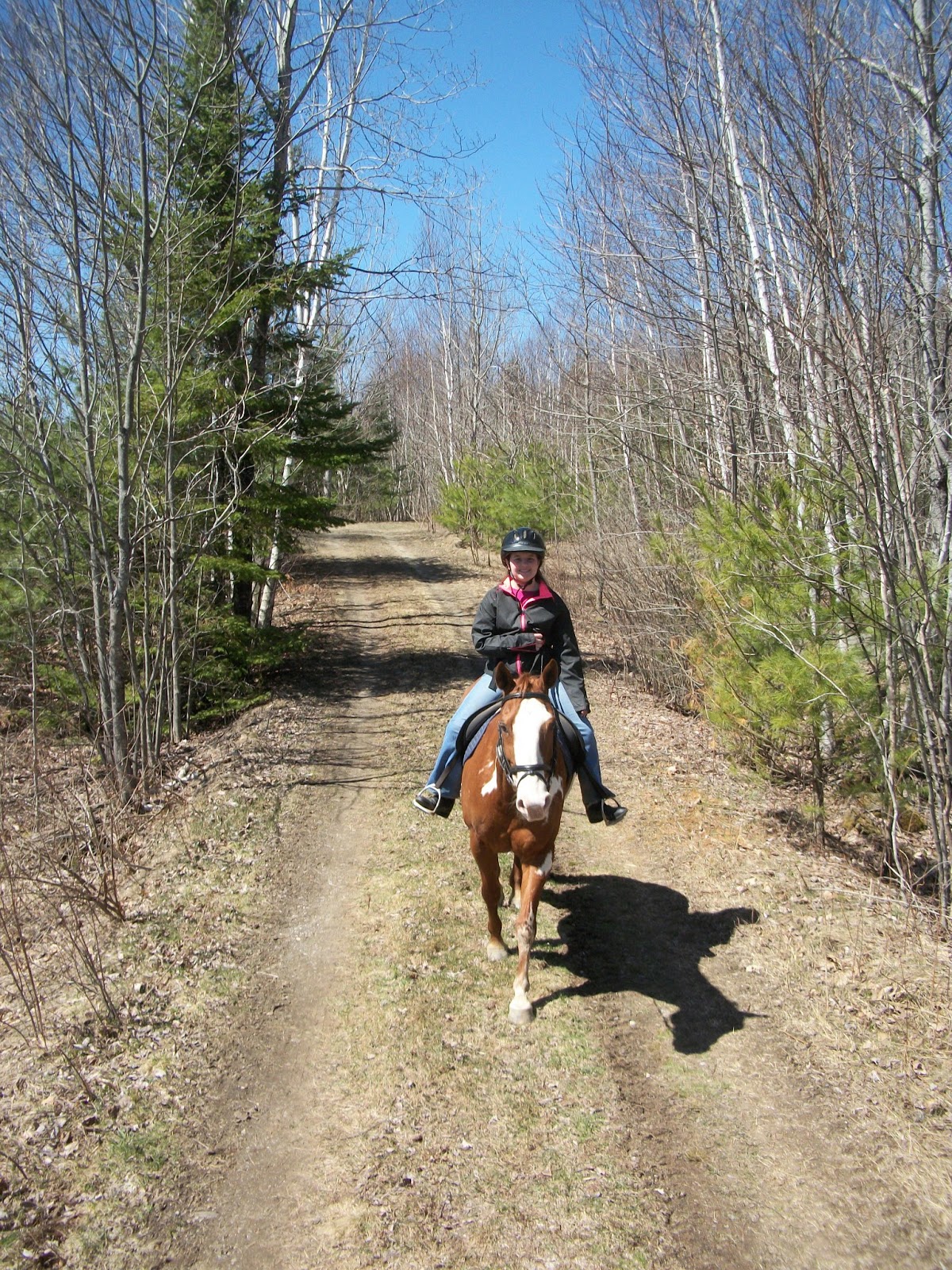 Lily, The Lovely Bright Molly: Tinkerbell's First "Trailer out" Trail ...