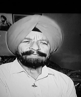 CHINAR SHADE : August 2016