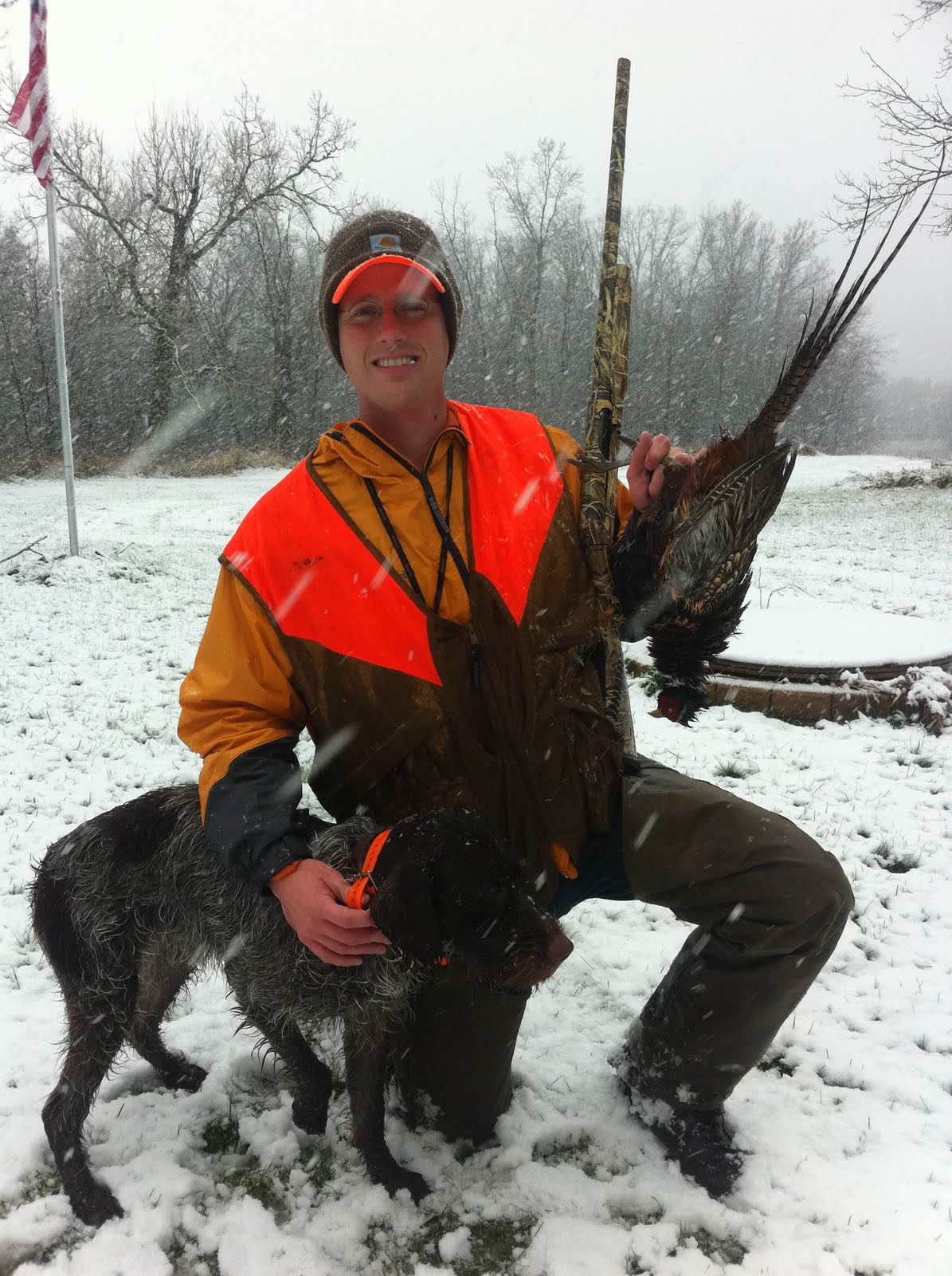 Maroon and Gold Kennels -Wirehaired Pointing Griffons (Gold Country ...