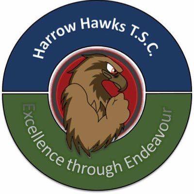 World Amateur Subbuteo Players Association: Elliot wins it...but not ...