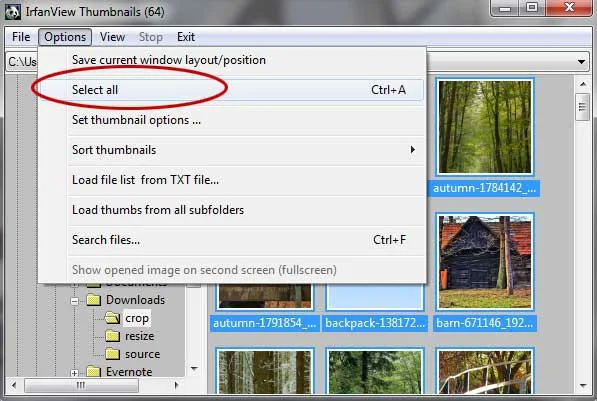 PhotoEffect: How to Create a Contact Sheet in IrfanView (Easy)