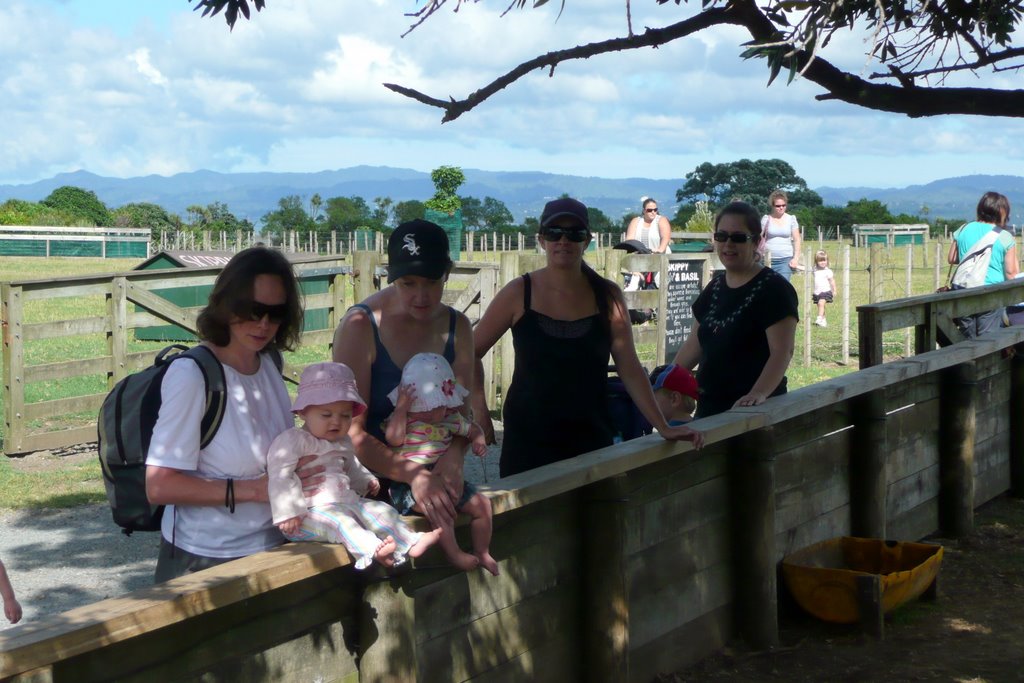 WM: Ambury Farm Park Visit