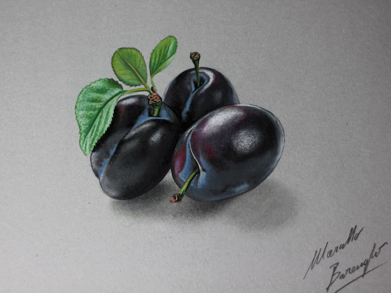 Drawing realistic plums - Marcello Barenghi
