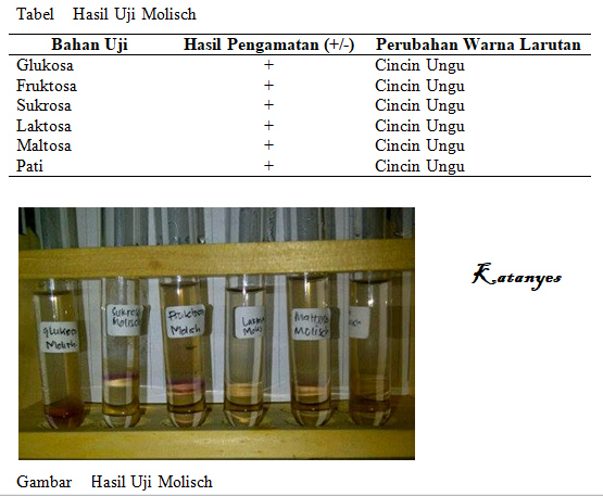 Mengenal Karbohidrat dan Beberapa Pengujian Karbohidrat I - Katanyes