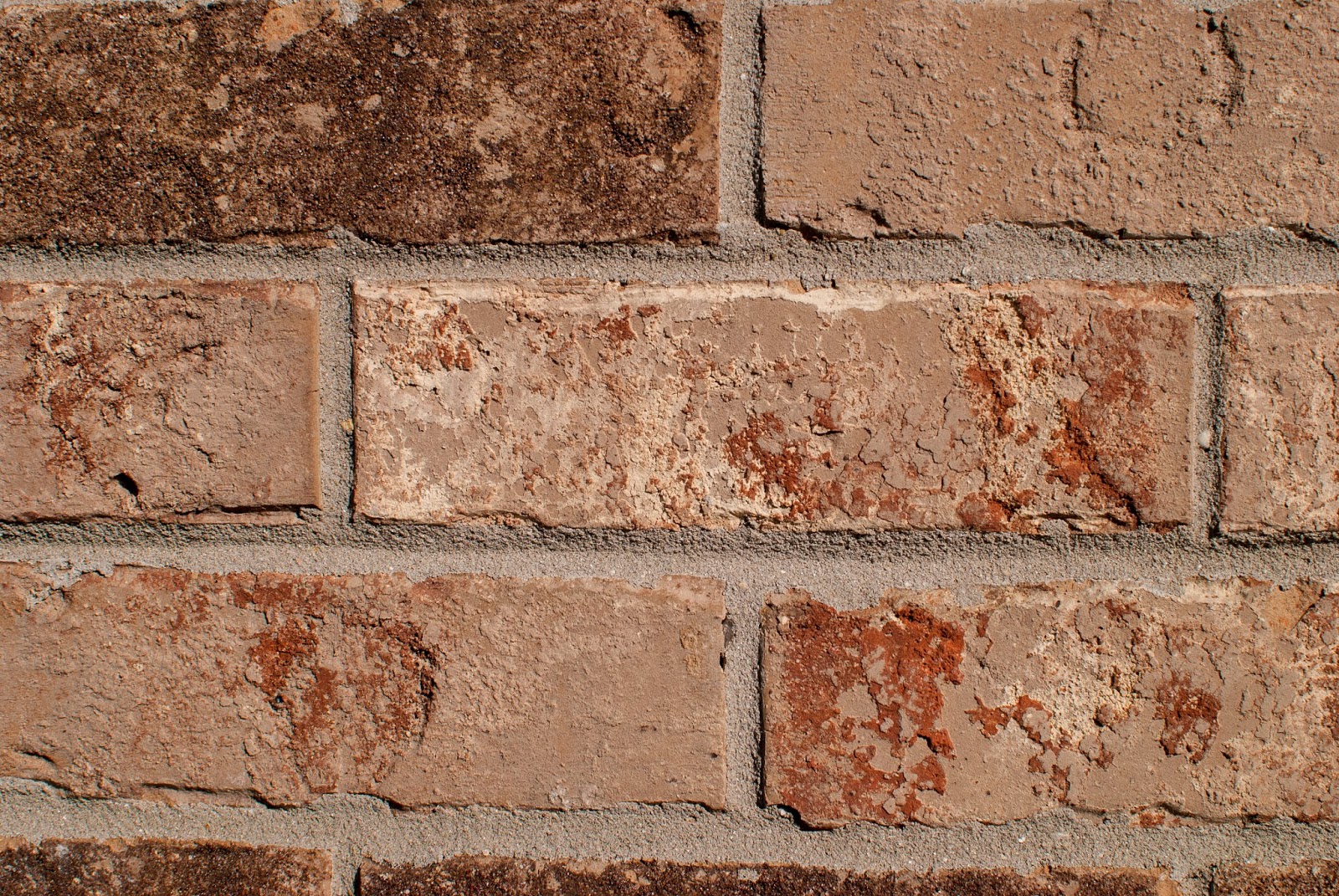 Stone & Grit Textures