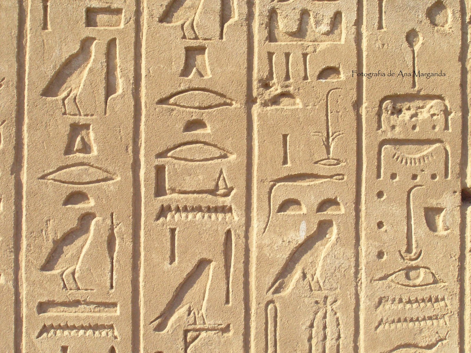 Conhecer Tudo: A história da Escrita 2 – A Invenção da Escrita ...