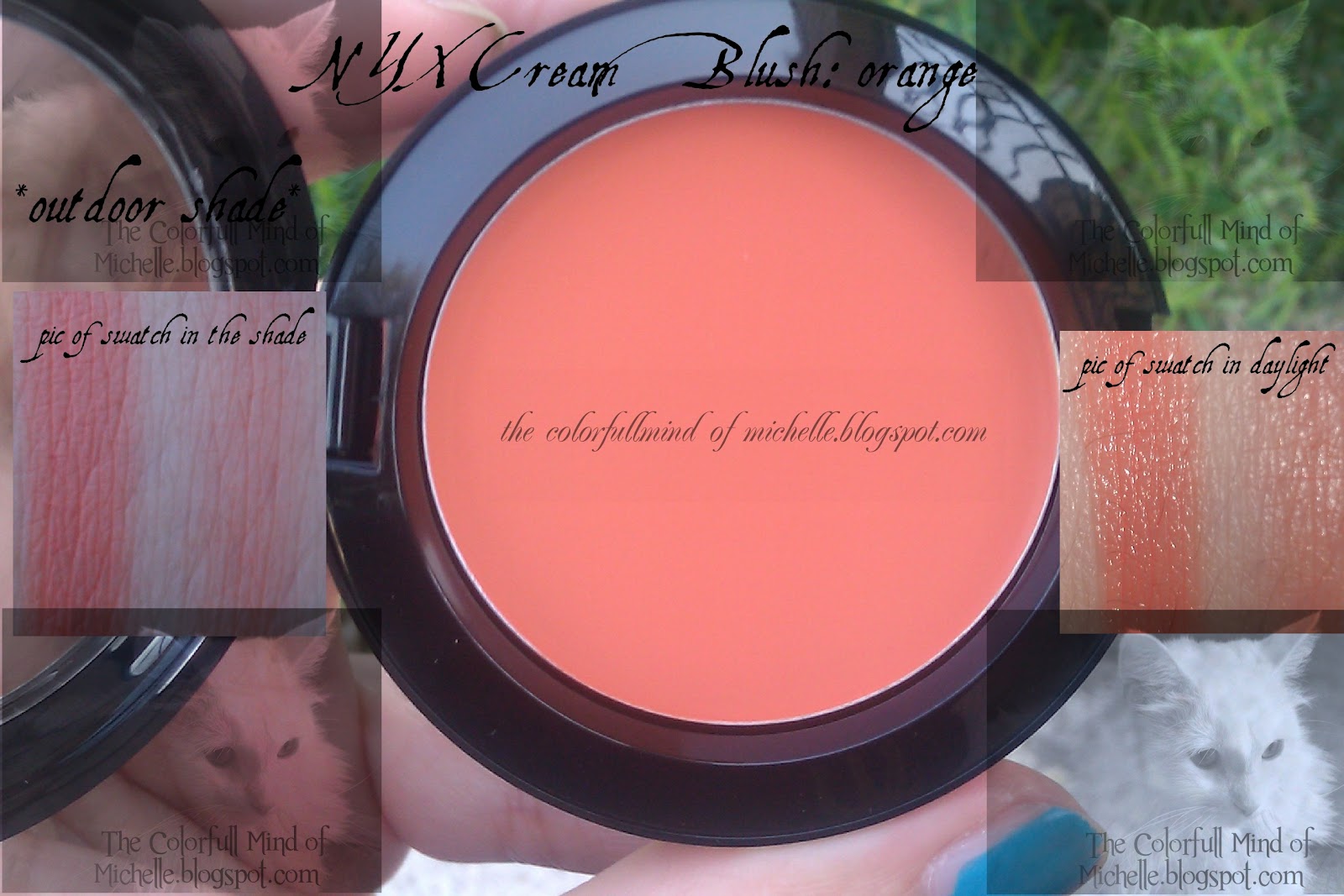 Mind of Michelle: Nyx Cream Blush in Orange
