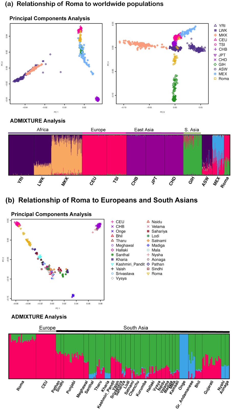 For what they were... we are: Autosomal genetics of the Roma People