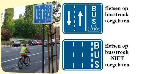 De BMWAW: De busstrook en zijn bewoners