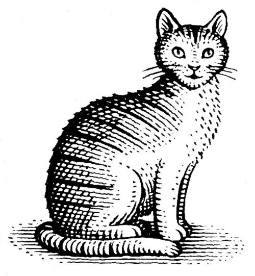 All Things Ruffnerian, a Design Blog and More: Fun Crosshatching