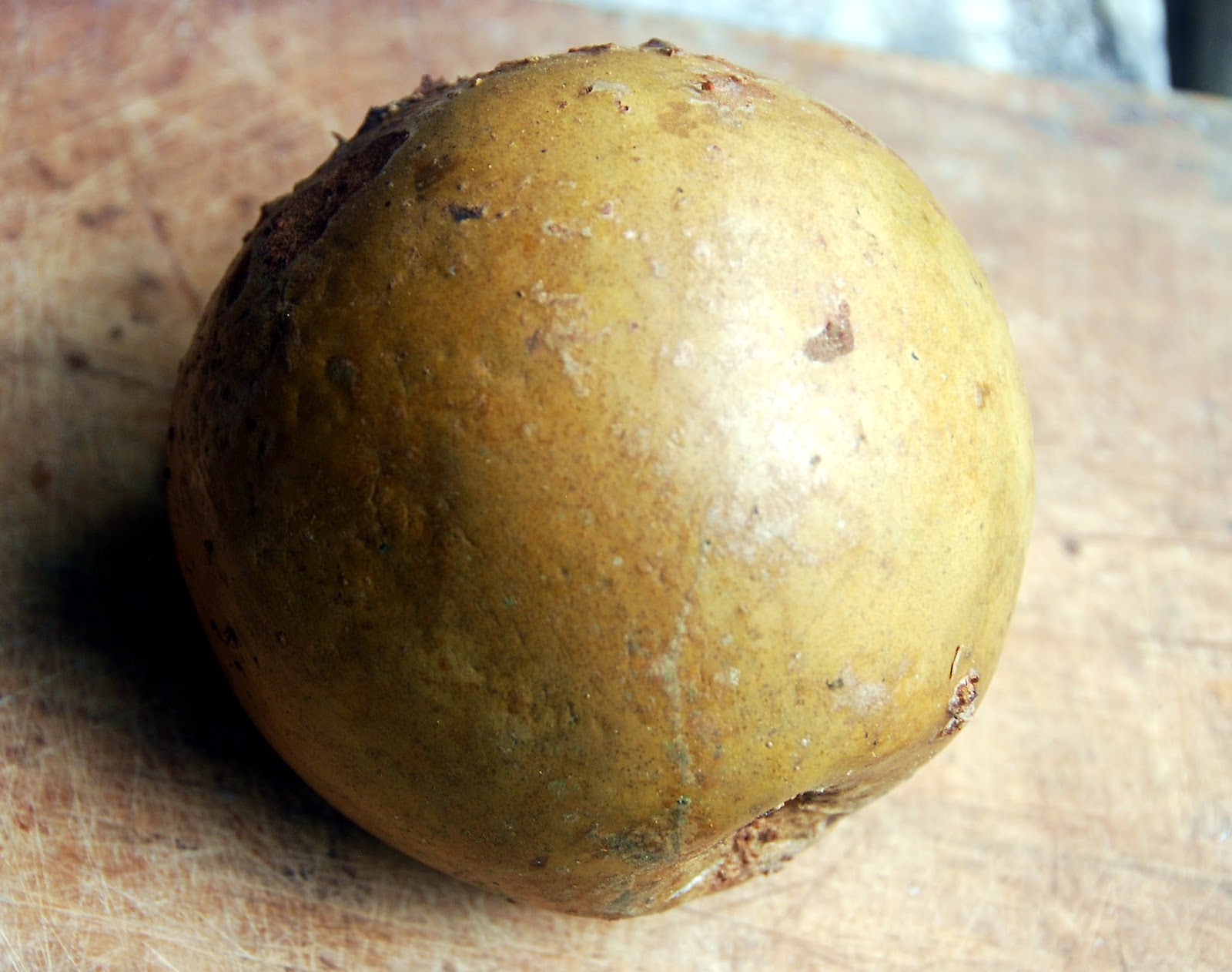 Viajes, cuentos e historietas: Borojó (Borojoa patinoi)