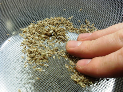 The Scientific Gardener: 7/1/12 - 8/1/12