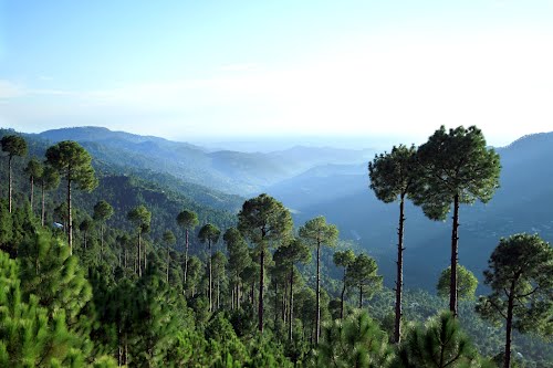 Pak Sialko Tourism : One(1) Day Tour to Murree & Ayubia