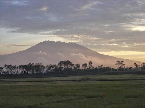 Jalur Pendakian Gunung Argopuro - BUDIDAYA