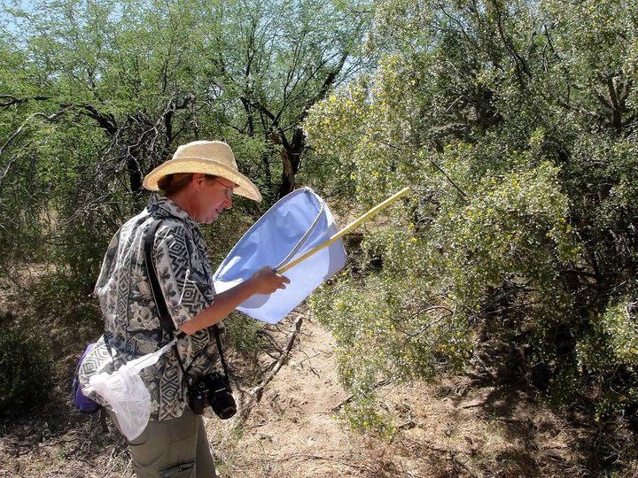 Bug Eric: "How do I become an entomologist?"