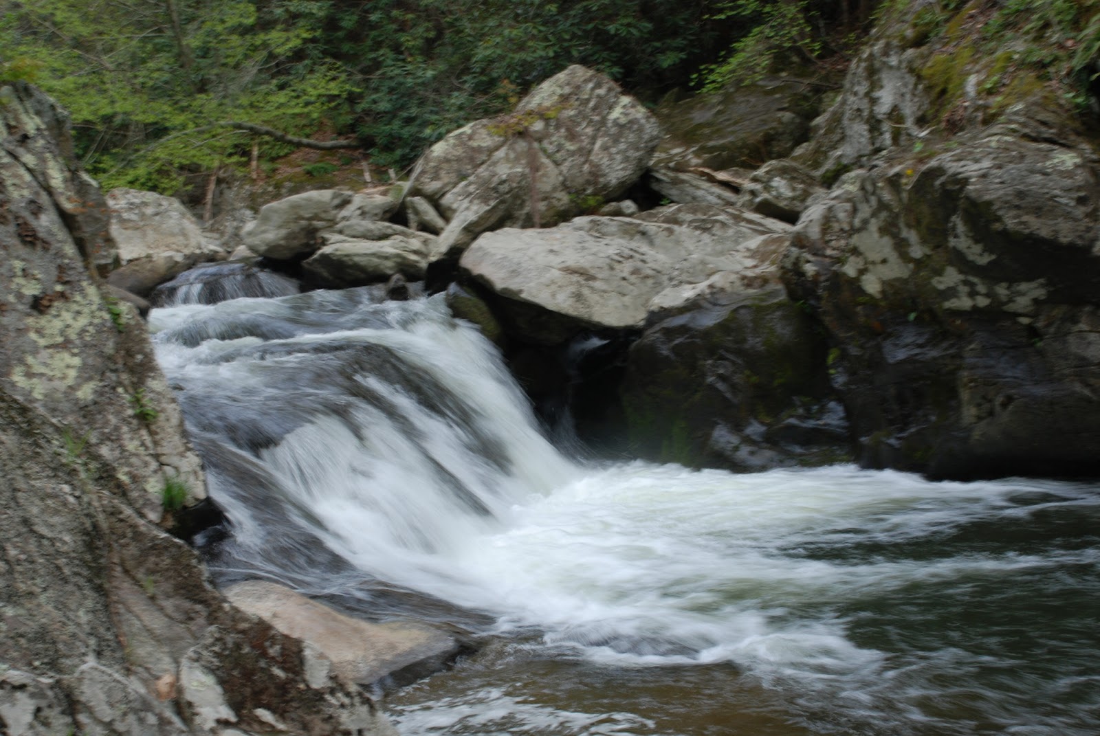The Hiking Hokie: Hikes in Southwest Virginia