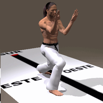 Todos los Katas de Karate: GANKAKU PASO A PASO Y CON DETALLES